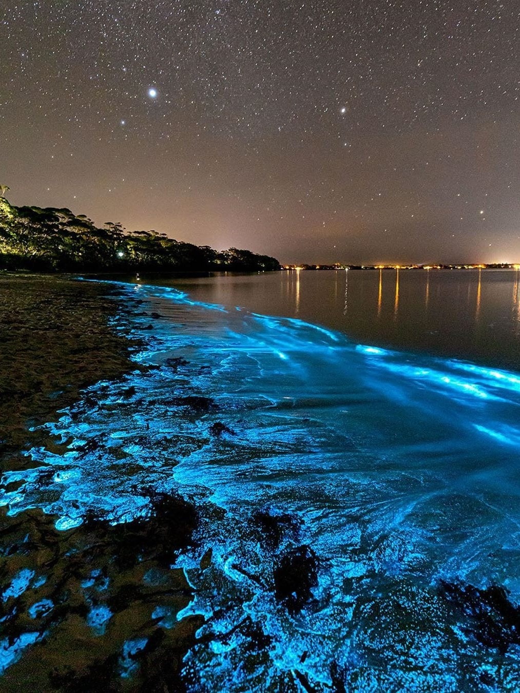 Best Bioluminescence Beaches in India - Shruti's Fairytales
